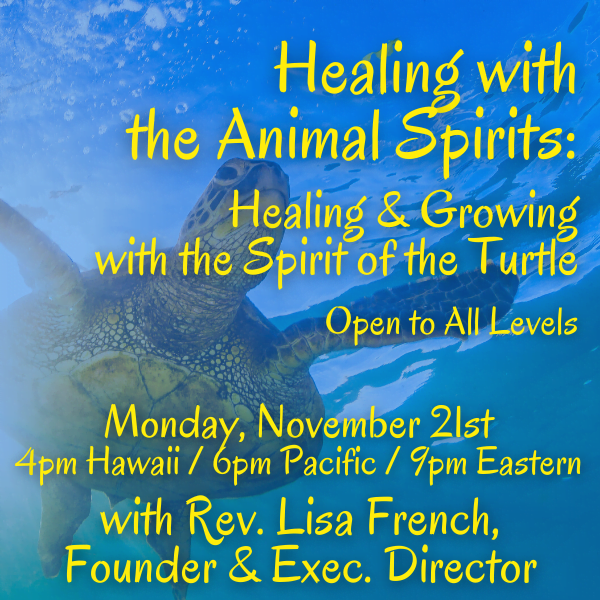 Healing with the Animal Spirits: Spirit of the Turtle - Clairvoyant ...